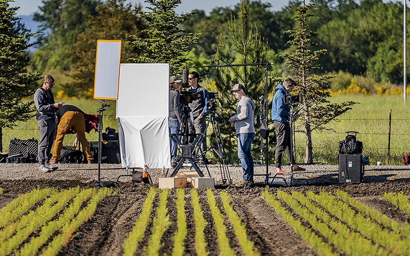 Behind the scenes with DroneSeed